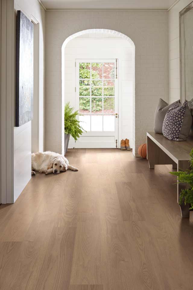 The Curved Interior Design Trend | Flooring America